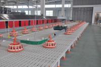 China PSF-01 50mm Plastic Slat Floor Poultry Broilers For Piglet for sale