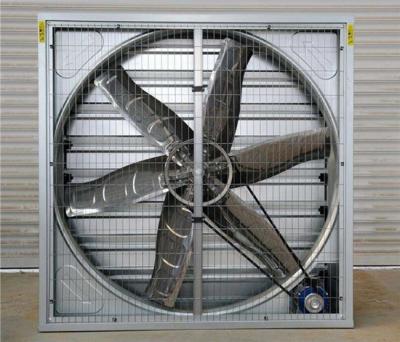 Cina Ventilatore di raffreddamento del ventilatore dell'otturatore di 910mm 380V per l'azienda avicola in vendita