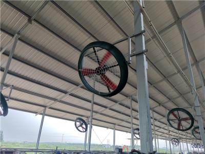 Cina Aspiratore di ventilazione di industriale della ventola di raffreddamento 920mm di ventilazione dell'azienda lattiera 480W in vendita
