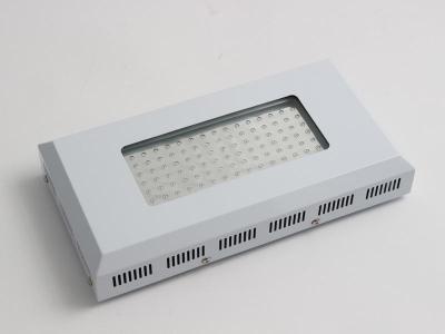 China High Lighting Effect LED Plant Grow Light 90w , Blue And Red LED Lights For Growing for sale