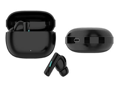 China Banzai Antenna Dual Batteries F10 Speaker Unit Bluetooth 5.3 TWS Earbuds With Charging Case For Commuters Students for sale