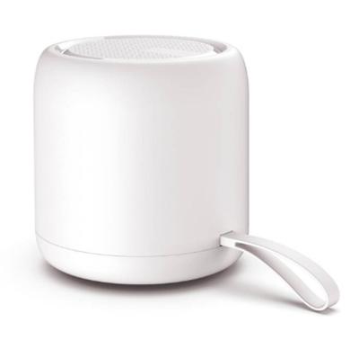 China Bluetooth 5.3 altavoces TWS IPX4 a prueba de salpicaduras Batería de 1200mAh USB-C Carga 6-24 horas Tiempo de juego Viene en un paquete hermoso en venta