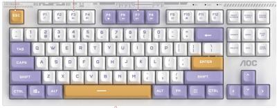 China ETEK 87-Key USB-C Wired Membrane Keyboard,10M Clicks, White/Rainbow Backlight, ABS+Iron Plate, Spill-Resistant for sale