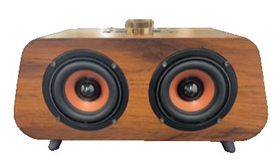 China 20W Dual Bluetooth Speaker,3