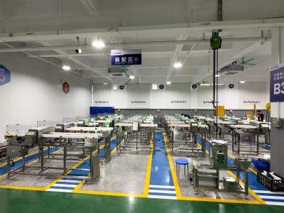 China Automatic Checkweigher Scale Sorting Checking Weigher Reject System  MID CE And ISO for sale