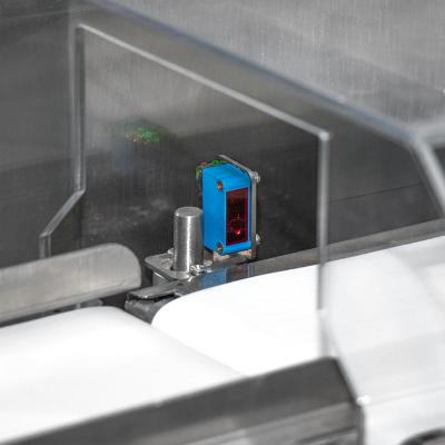 China High Accuracy Range Conveyor Weight Checker With Control System Of High Speed A/Dsampling Controller for sale