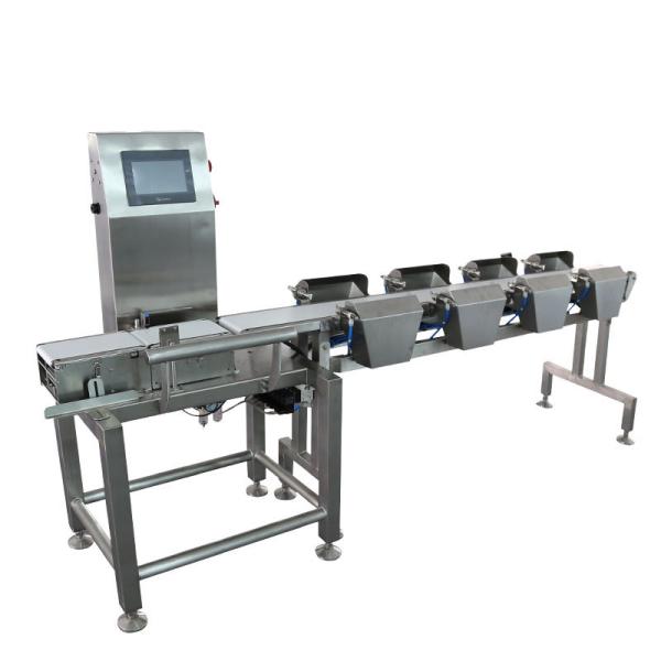 High Speed Weighing And Grading Machines For Electronics Error Free Sorting Fresh Seafood