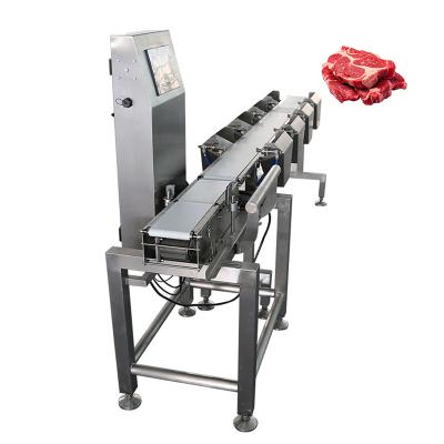 Macchina di pesatura e scarto automatico ad alta precisione per l'industria alimentare, trasportatore, pesatrice di controllo, prodotti farmaceutici