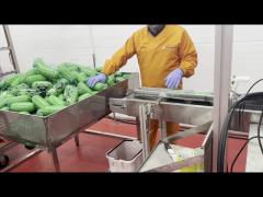 Máquina de raios X de alimentos que assegura o cumprimento de normas rigorosas de segurança alimentar