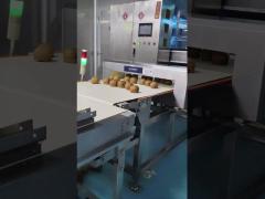 Automatische transportband met metaaldetector 0.5 mm Gevoeligheid Inspectie van voedsel / cosmetische grondstoffen