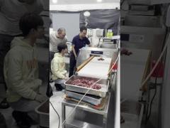 High Precision Conveyor Type Metal Detector Meat Candy Dessert Metal Detector Sensitivity Food Industry