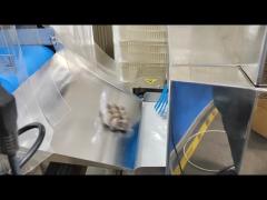 High Sensitivity Food Safety Metal Detector X Ray Food Scanner For Metal Can Products With Rejectors