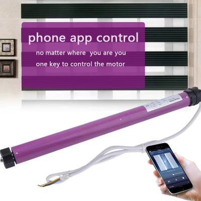 China Zebra Blinds Cassette Curtain Motor Automatic Motorized APP WIFI Control Smart Zebra Shades en venta
