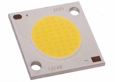 China Family Bulb COB LED Light Source 20 / 30 / 40w 30 Volt 3 Yrs Warranty for sale