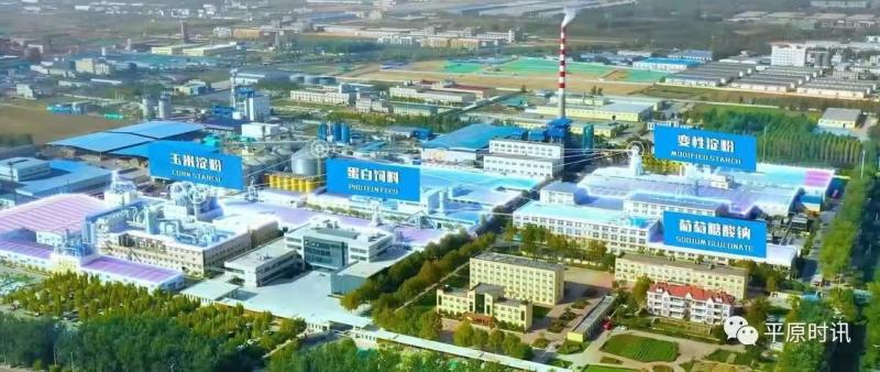 Проверенный китайский поставщик - SHANDONG FUYANG BIOTECHNOLOGY CO.,LTD