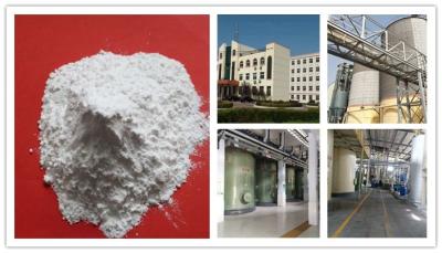 China E1450 E1401 Modified Waxy Maize Starch E1422 Gluten Free In Bulk for sale