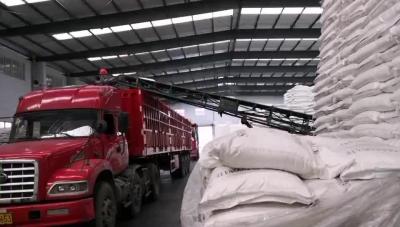 Cina Il nativo ha modificato i produttori cerei della polvere della fecola di granturco come agente d'ispessimento in vendita