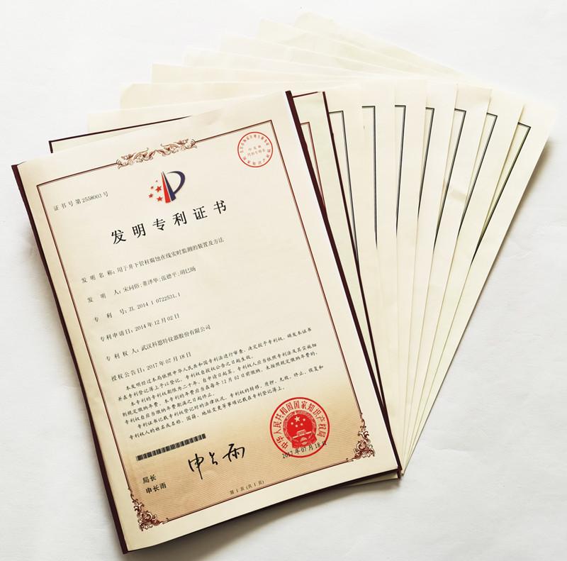 Patents - Wuhan Corrtest Instruments Corp., Ltd.