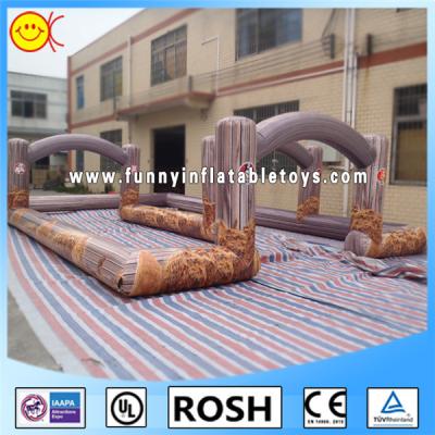China Kids Inflatable Sports Games , Exciting Inside Sport Inflatables Lead Free for sale