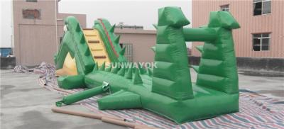 China Dragon PVC Child Inflatable Water Slide Park Games Outdoor Equipment for sale