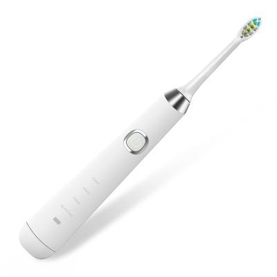 Cina IPX7 38000 colpi Sonic Electric Toothbrush Dupont Bristles ricaricabile automatico in vendita