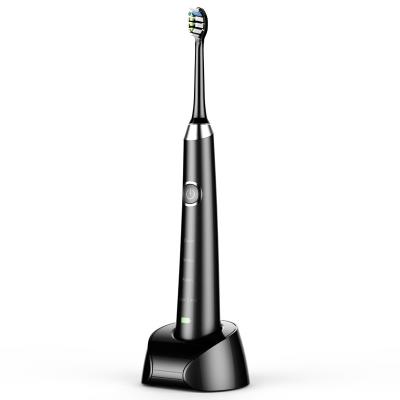 Cina IPX7 38000 colpi Sonic Electric Toothbrush Dupont Bristles ricaricabile automatico in vendita