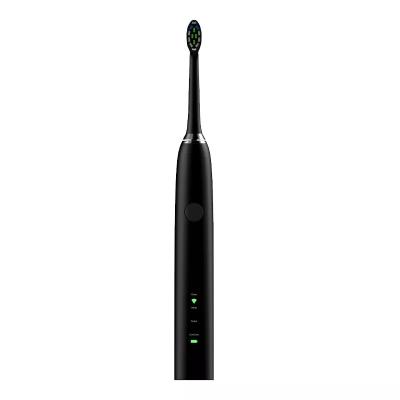 Cina 5 modi H6 Sonic Electric Toothbrush 51000vpm di funzione con costruito in temporizzatore in vendita