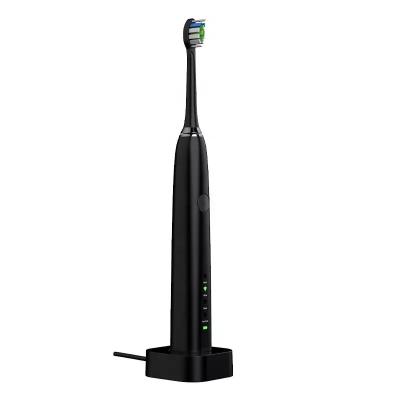 Cina 5 modi H6 Sonic Electric Toothbrush 51000vpm di funzione con costruito in temporizzatore in vendita