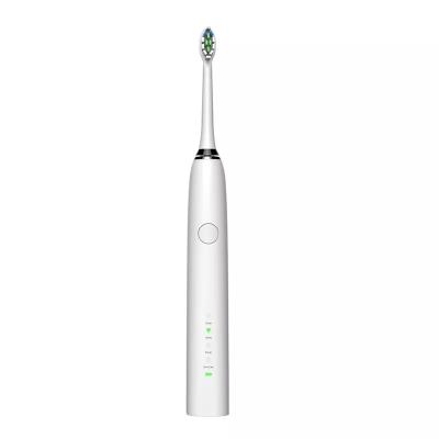 Cina 5 modi H6 Sonic Electric Toothbrush 51000vpm di funzione con costruito in temporizzatore in vendita