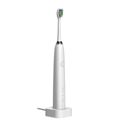 Cina 5 modi H6 Sonic Electric Toothbrush 51000vpm di funzione con costruito in temporizzatore in vendita