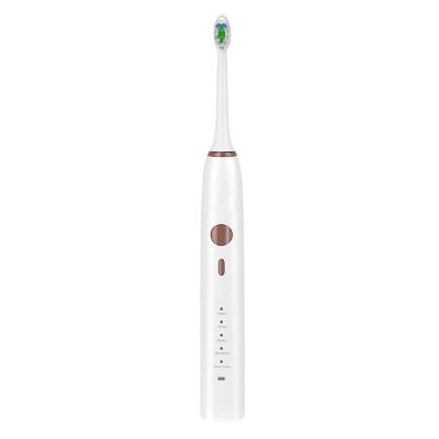 Cina Teste della sostituzione di H6 plus ultra Sonic Toothbrush Rechargeable Electric With in vendita