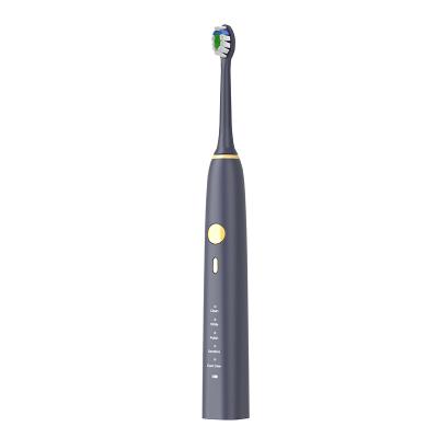 Cina Teste della sostituzione di H6 plus ultra Sonic Toothbrush Rechargeable Electric With in vendita
