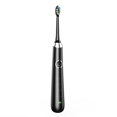 Cina L'adulto ricaricabile Smart Sonic Electric Toothbrush BSCI ha approvato in vendita