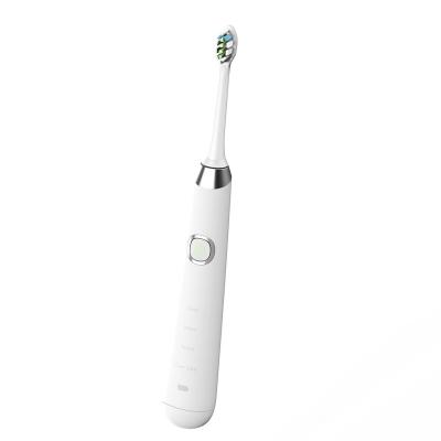 Cina L'adulto ricaricabile Smart Sonic Electric Toothbrush BSCI ha approvato in vendita