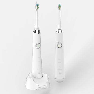 Cina L'adulto ricaricabile Smart Sonic Electric Toothbrush BSCI ha approvato in vendita