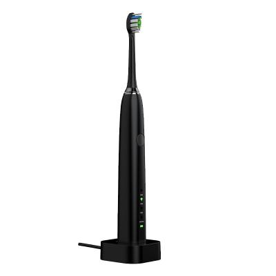 Cina lo spazzolino da denti IPX7 di Flosser dell'acqua 2000mAh impermeabilizza ricaricabile per la casa in vendita