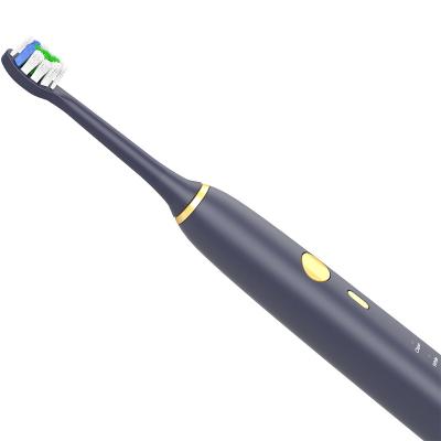 Cina Spazzolino da denti elettrico impermeabile orale adulto Sonic Soft di cura IPX7 in vendita