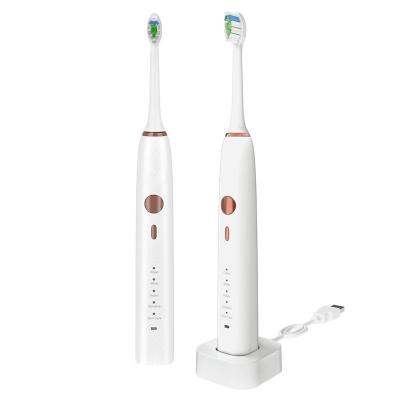Cina Spazzolino da denti elettrico impermeabile orale adulto Sonic Soft di cura IPX7 in vendita