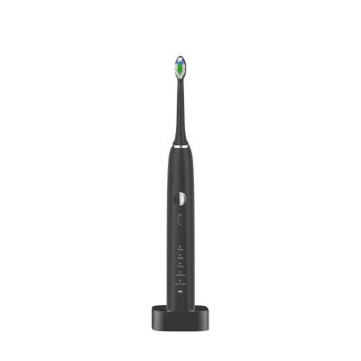 Cina Spazzolino da denti elettrico impermeabile orale adulto Sonic Soft di cura IPX7 in vendita