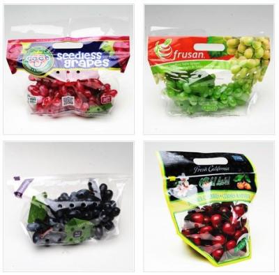 Cina Il sacchetto di plastica del grado dell'alimento salutare sta sul logo risigillabile dei sacchetti stampabile in vendita