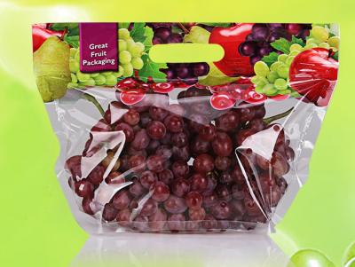Cina Trasparente stia sui sacchetti della barriera, borse riciclate di stoccaggio della piccola frutta in vendita