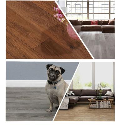 Cina Easy Click LVT Peel and Stick Vinyl Plank PVC Floor Mat Adesivo Soluzione di graffi per piastrelle per interni in vendita