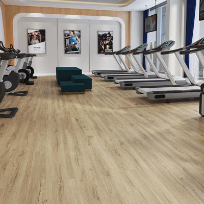 Cina Scratch resistent 20mil Wear layer SPC pavimenti per la casa e l'ufficio Click System in vendita