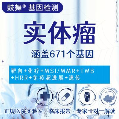 China Solid Tumor 671 Gene Testing NGS Genetic Health Testing Service for sale