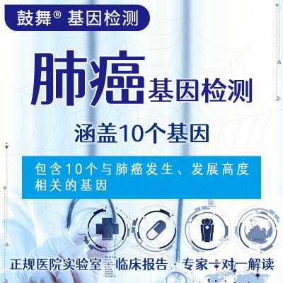 China NGS 10 Gene Testing 10 Targeted Genetic Testing For Lung Cancer Risk for sale