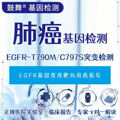 China Digital PCR Mutation Detection EGFR-T790M/C797S Genetic Testing Services for sale
