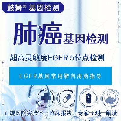 China DdPCR 5 Site EGFR Detection G719S T790M L858R L861Q 19del for sale