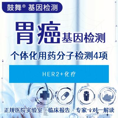 Quattro test molecolari per l'uso di farmaci personalizzati nel cancro gastrico (HER2+chimioterapia)