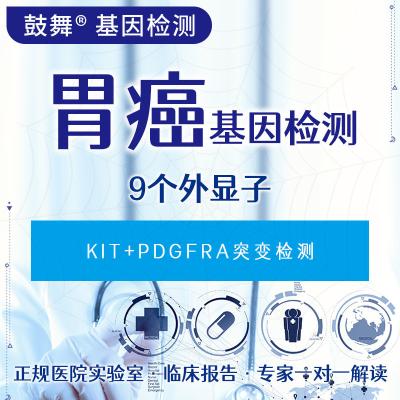 China KIT+PDGFRA mutation detection for sale