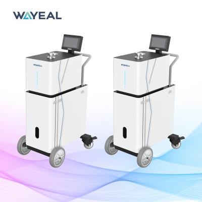 China Detector de fugas do espectrómetro de massa de hélio de 220 V para a indústria de semicondutores à venda